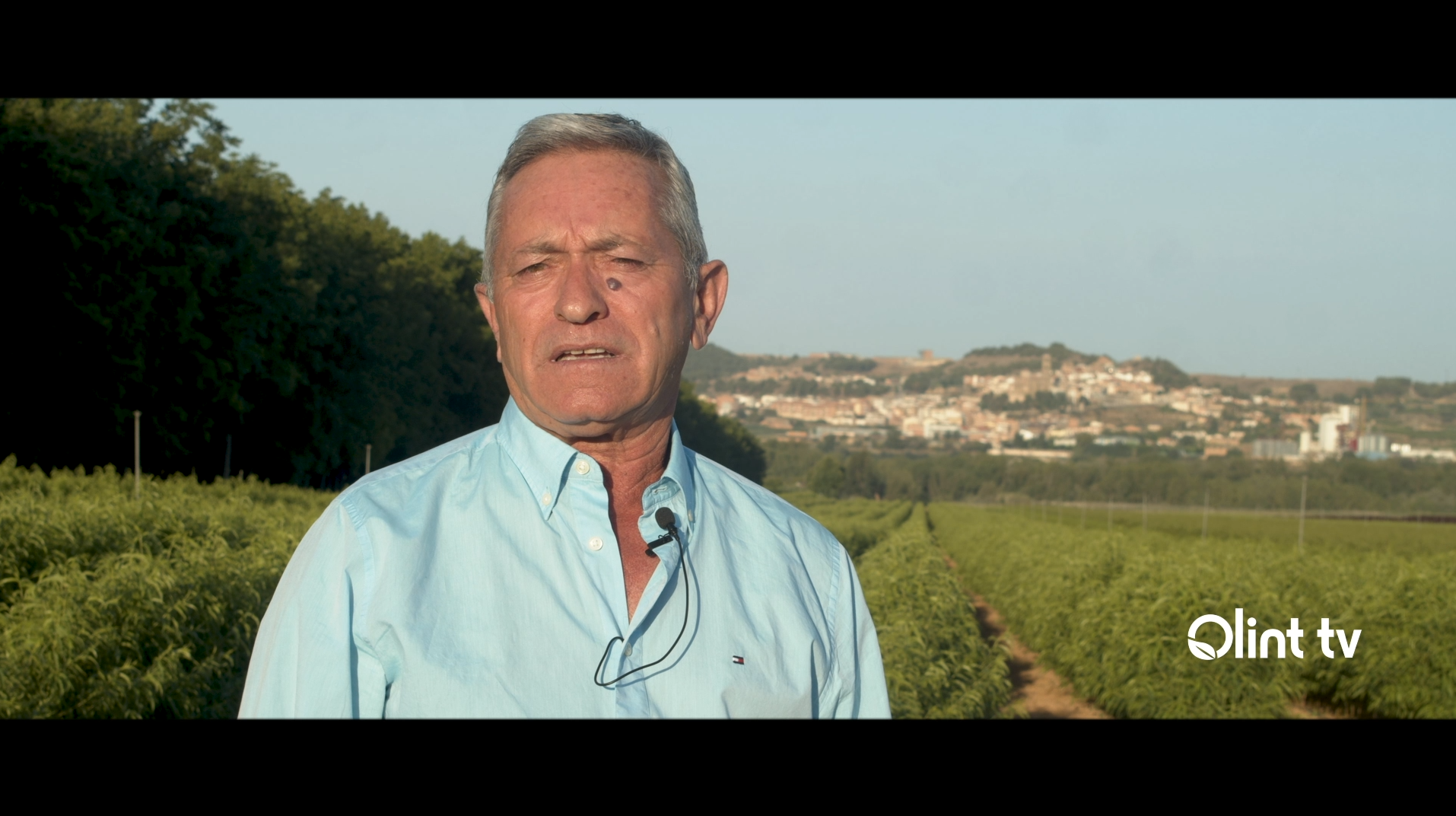 Olint tv | Hablamos con Viversa